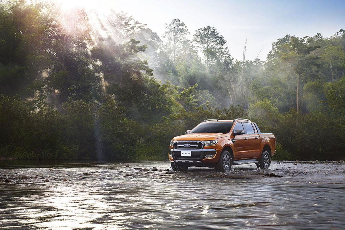 wildtrack (3) - AutoExpert